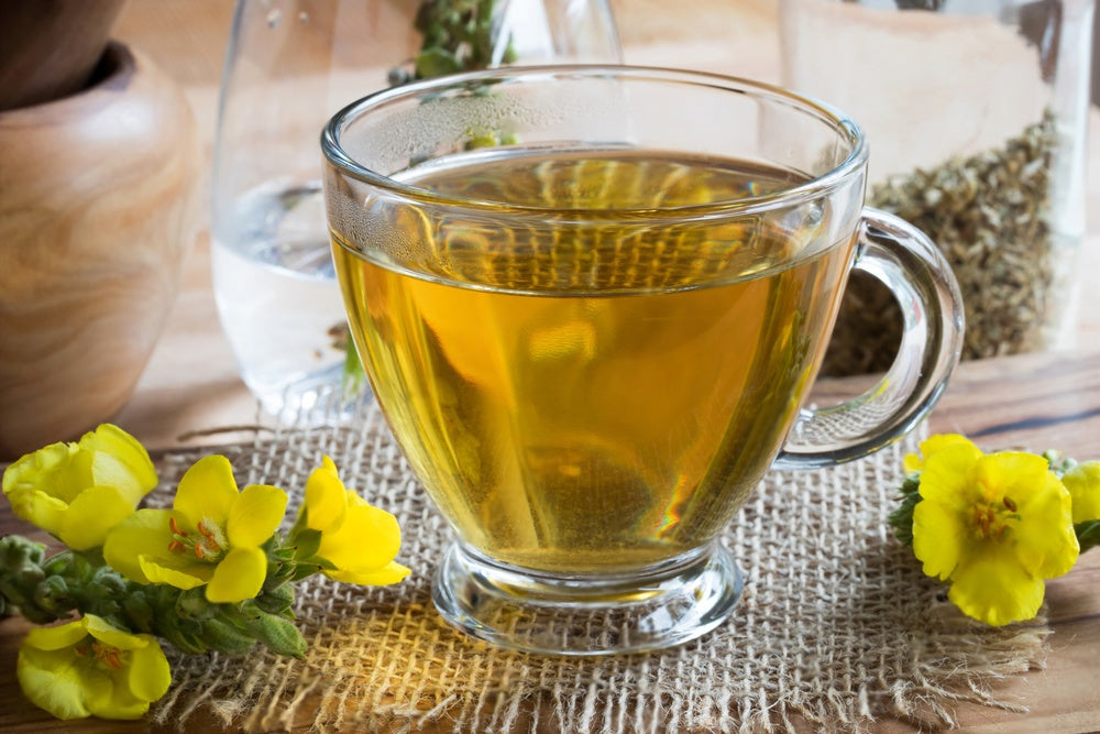 A Tea Life Favorite - The Berry Mullein Tea Recipe – Organic Way LLC